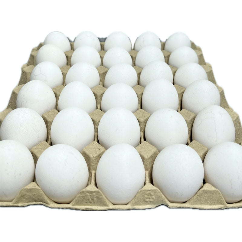 1 Tray of Eggs (30 pcs) – JCC Hong Kong